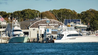 Uma marina com barcos atracados, um edifício identificado como "Hyannis Marina" e uma bandeira americana.