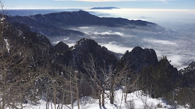 Paisagem montanhosa com árvores cobertas de neve e vista para montanhas distantes sob um céu claro.