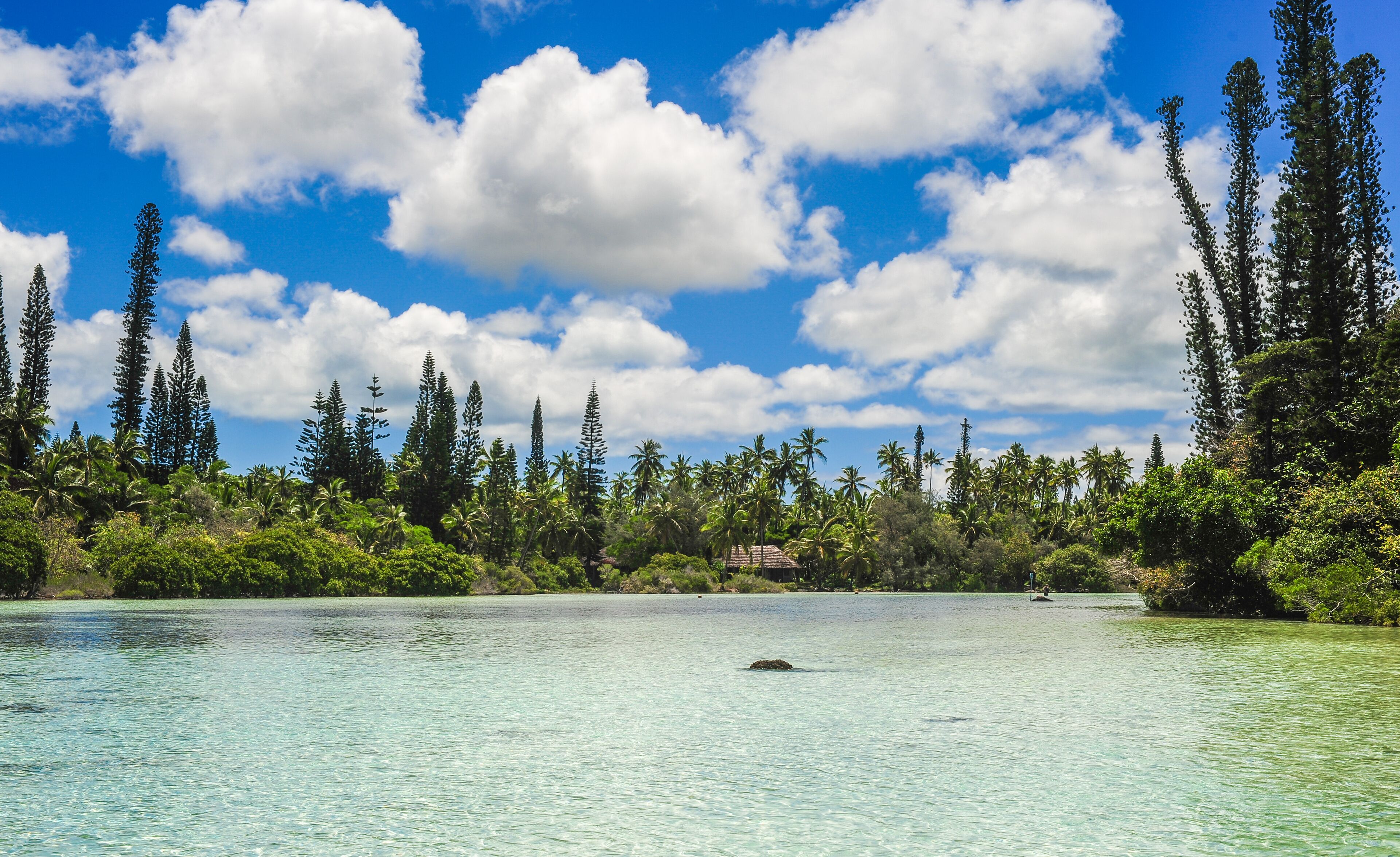 Uma praia tropical com águas turquesa cristalinas, folhagem verde exuberante e altas palmeiras sob um céu azul vibrante com nuvens brancas e fofas.