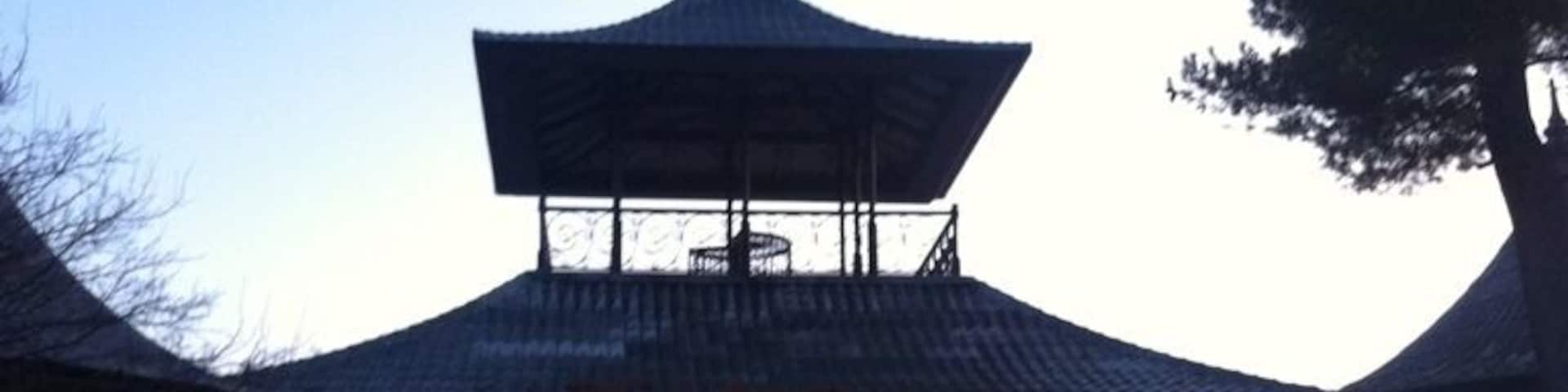 The awesome pagoda at Garfield park.