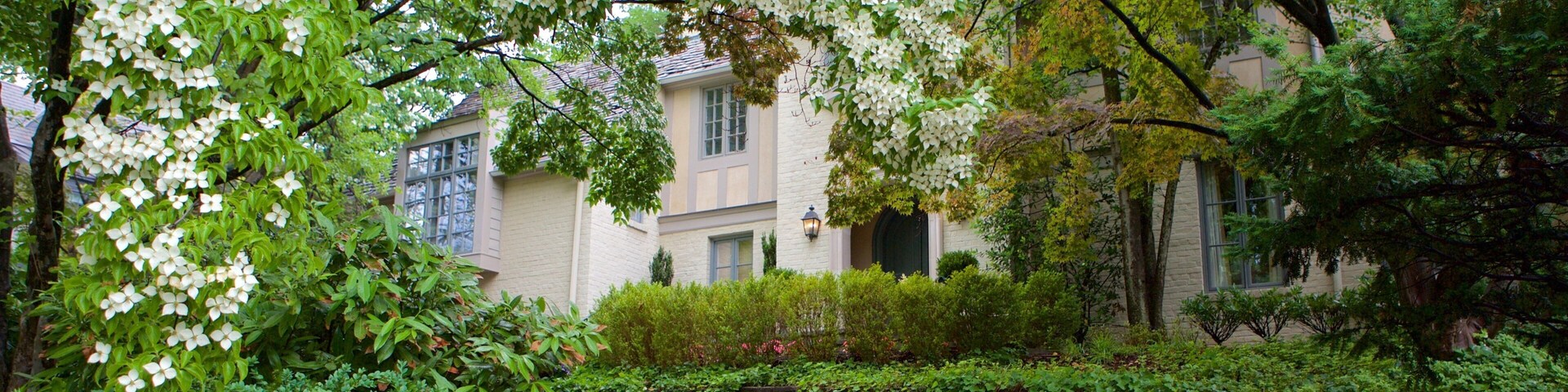 Spring Valley showing a house and a park