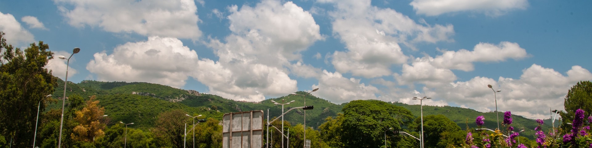 Um parque com uma estrada, postes de luz e flores roxas.