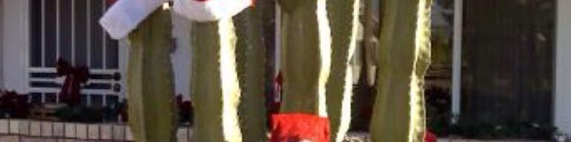 Last Christmas visiting Sun City, AZ. I don't recommend it, although it does have its moments.