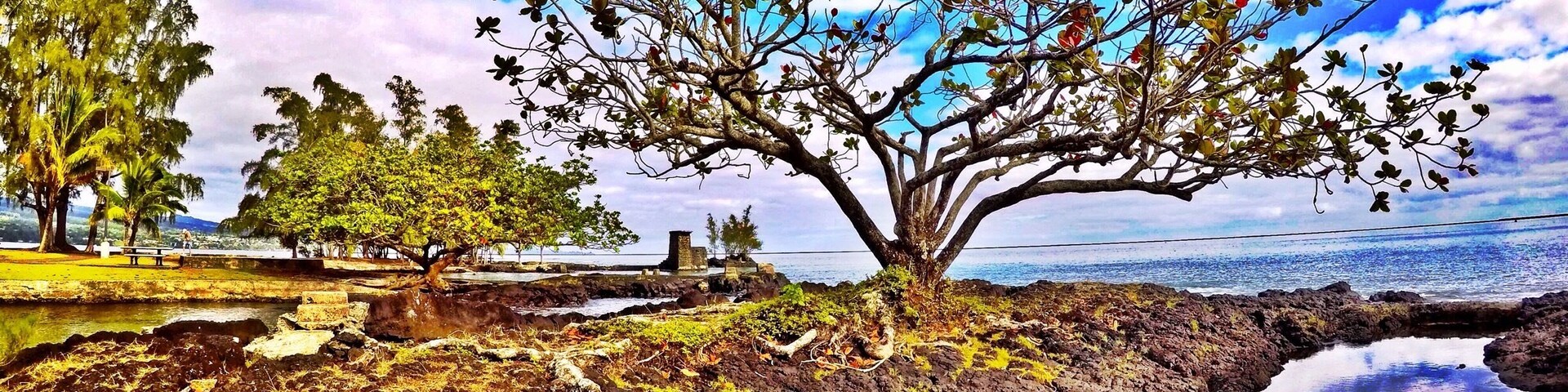 Coconut Island is glowing from the morning sun. There's easily accessible swimming spots, lots of shade from large flowing trees, amazing views of Hilo Bay, Liliuokalani Park and the two hotels overlooking the bay. #hilo #hawaii #coconut #island