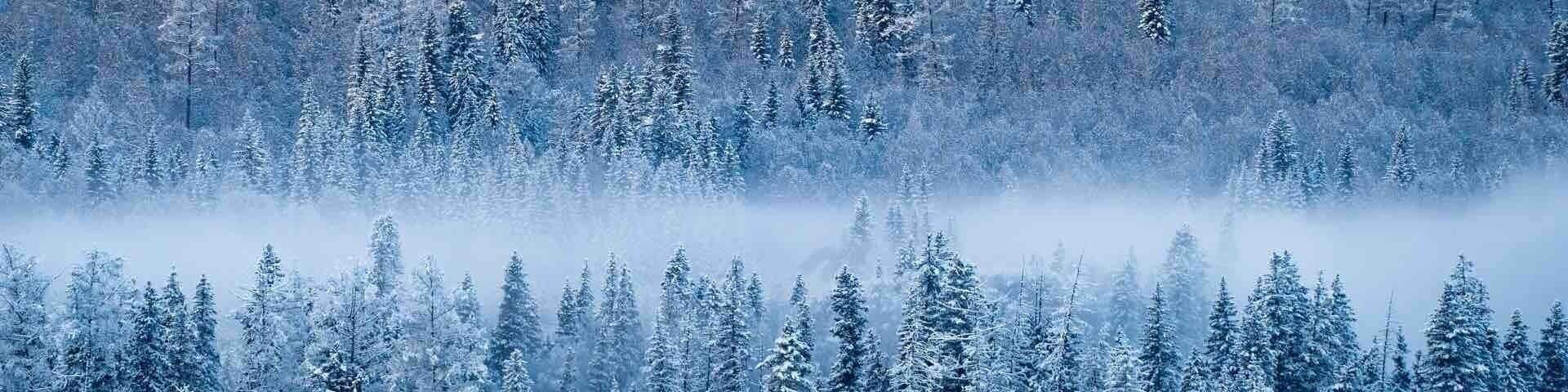 Winter Village II Kalas 喀纳斯
有地皆美景,無處不風光