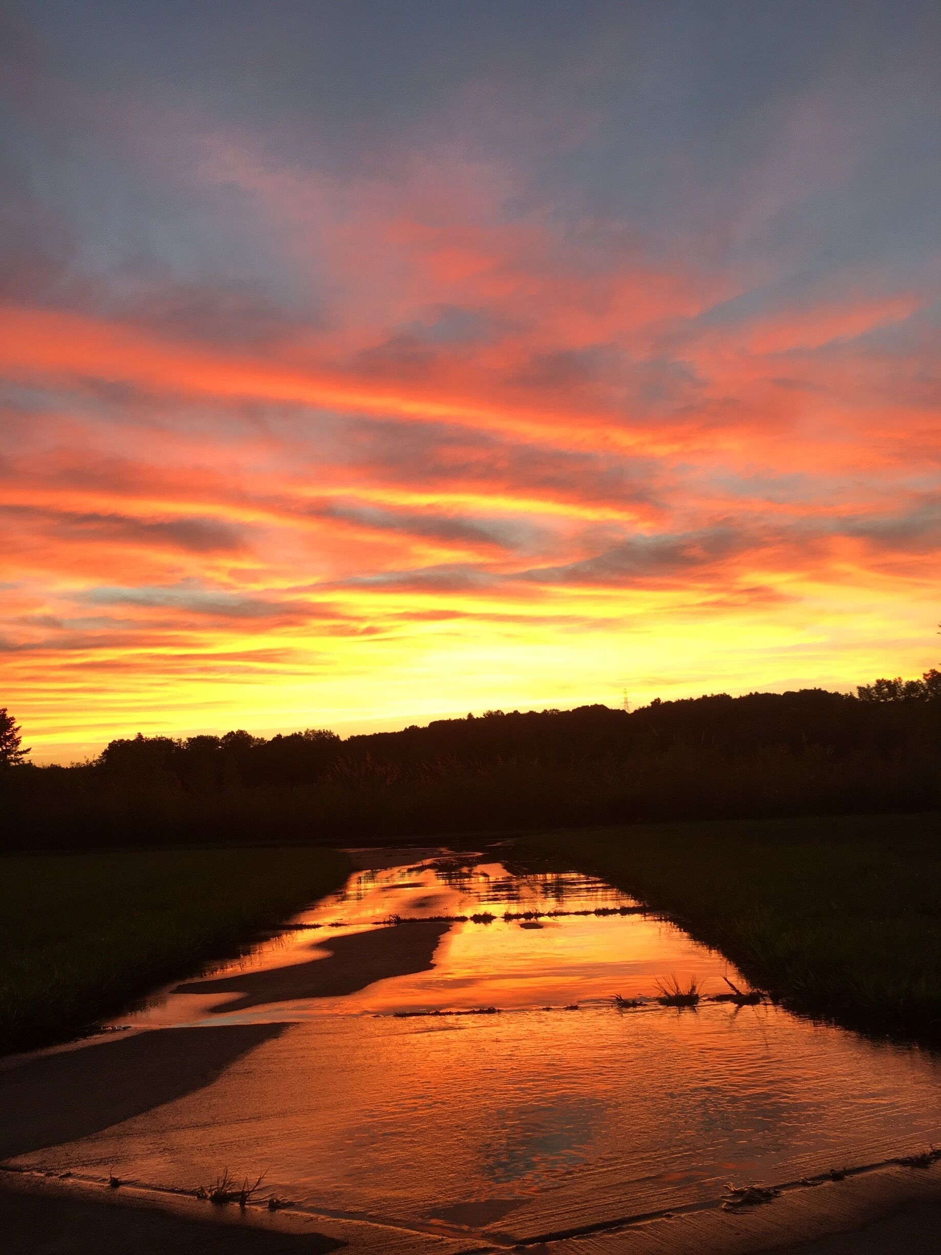 A glimmering pathway leading to one of Michigan’s beautiful sunsets.