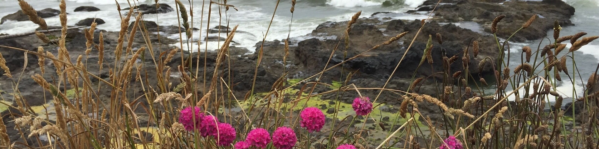 Yachats OR - great place to chill!