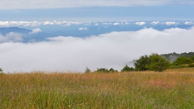 Um campo de grama alta com uma cordilheira ao fundo e nuvens abaixo.