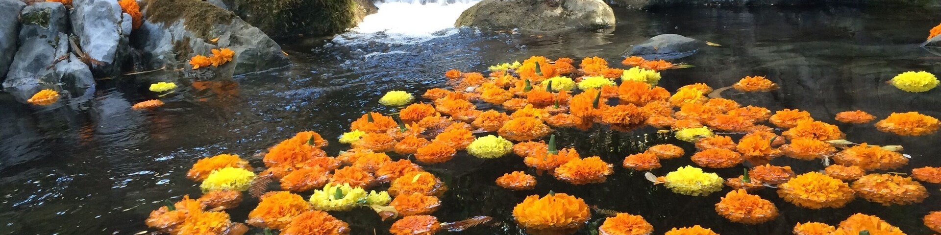 I was lucky enough to get a guest day pass to visit Esalen. It's a beautiful retreat located in Big Sur, California.
Typically, people sign up for three to five day workshops, and stay on the premises. The facility is right on the coast. There are hot spring baths and gorgeous flower and vegetable gardens. Lots of lovely places to relax and meditate.
They also have a great dining area. For lunch, I ate lentils, naan and a tremendous salad! Mmmm!