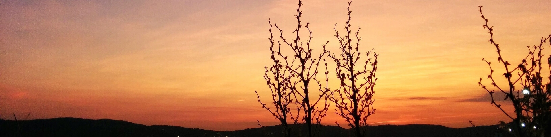 Um pôr do sol sobre a água, com silhuetas de árvores e uma linha de costa distante.