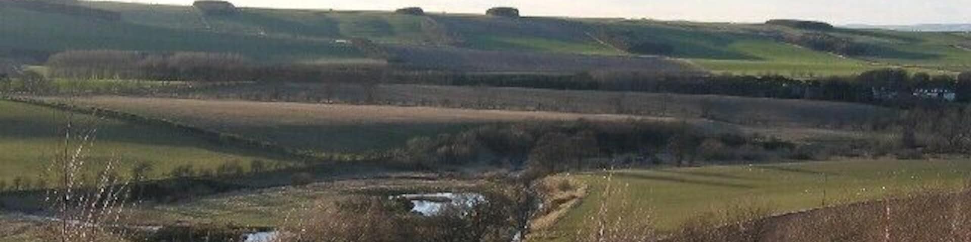 The Bowmont. Looking North over the Bowmont towards Mindrom Mill (white buildings rightmost)