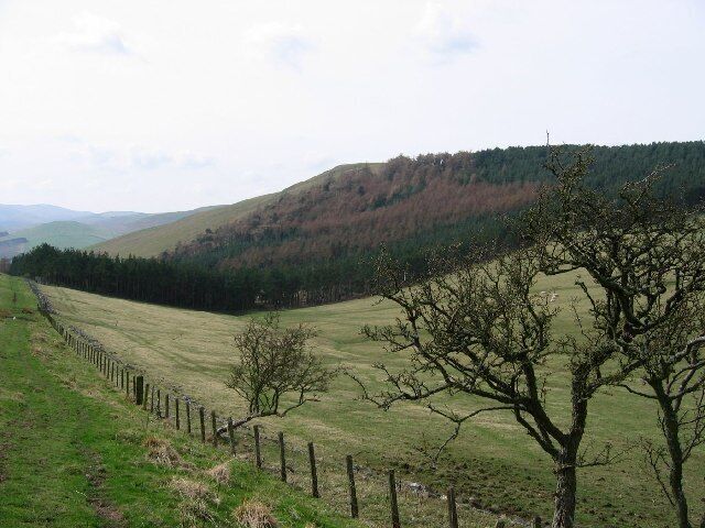 Paisagem rural com colinas ondulantes, uma cerca e uma árvore em primeiro plano.