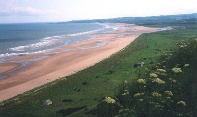 Paisagem costeira com uma praia de areia, áreas gramadas e vista para o oceano.