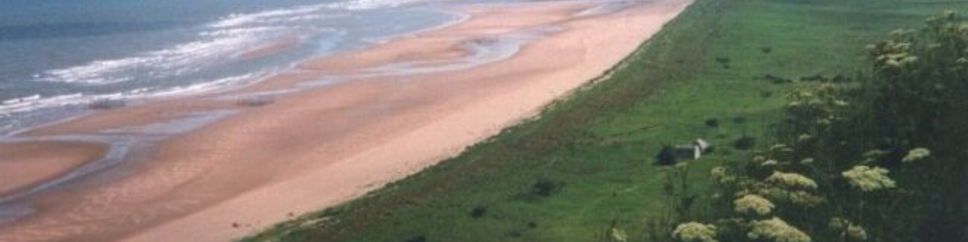 Paisagem costeira com uma praia de areia, áreas gramadas e vista para o oceano.