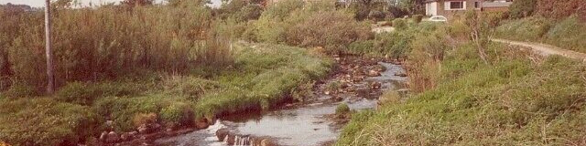 Um riacho estreito serpenteando por uma área rural, com casas e vegetação nas margens.