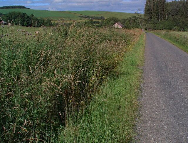 Uma estrada rural ladeada por grama alta e uma pequena casa ao longe.