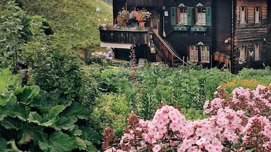 Uma casa de madeira com varanda, cercada por vegetação exuberante e montanhas ao fundo.