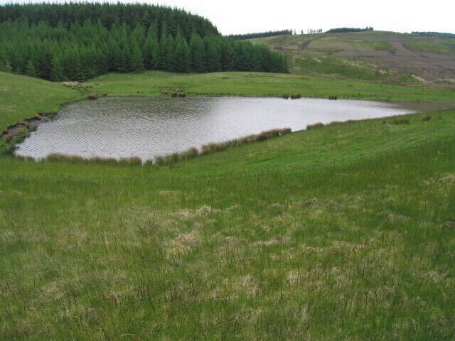 Um lago rodeado por campos verdes e uma colina arborizada.