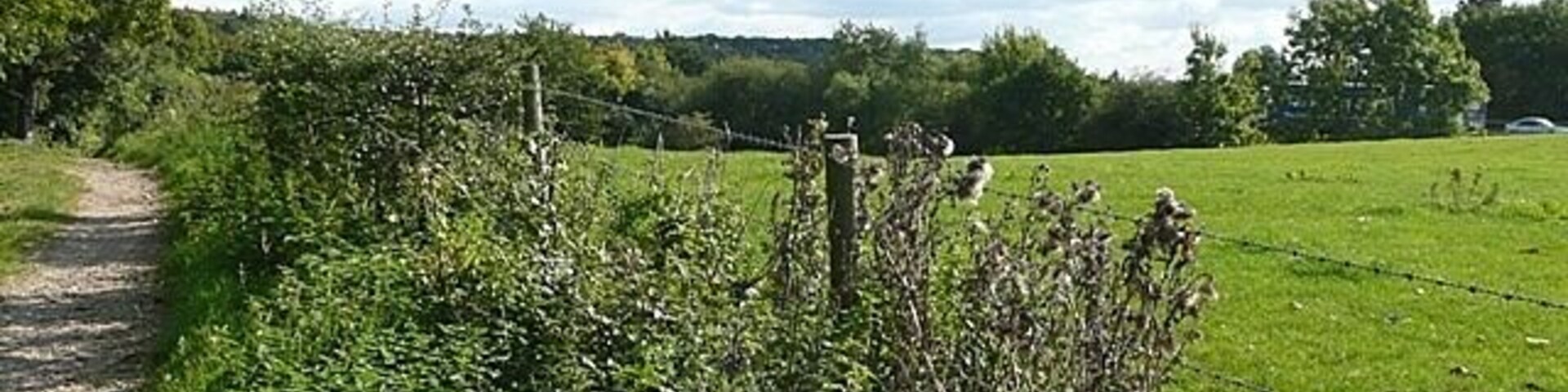The elephant in the room The motorway is a constant presence and can just be seen to the right, otherwise this is a lovely track.