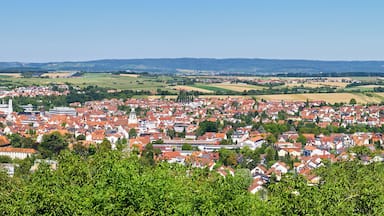 Uma cidade com casas de telhado vermelho, campos verdes e colinas ao longe.