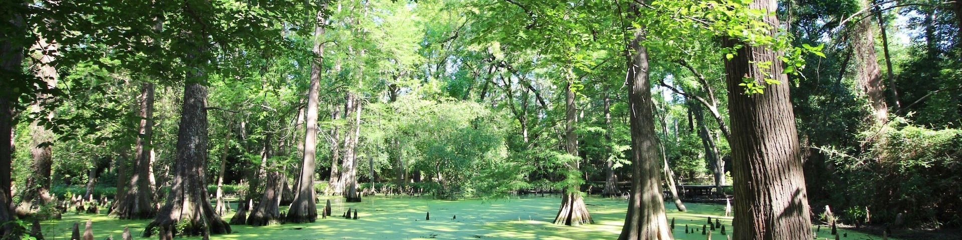 One of the few bodies of water.