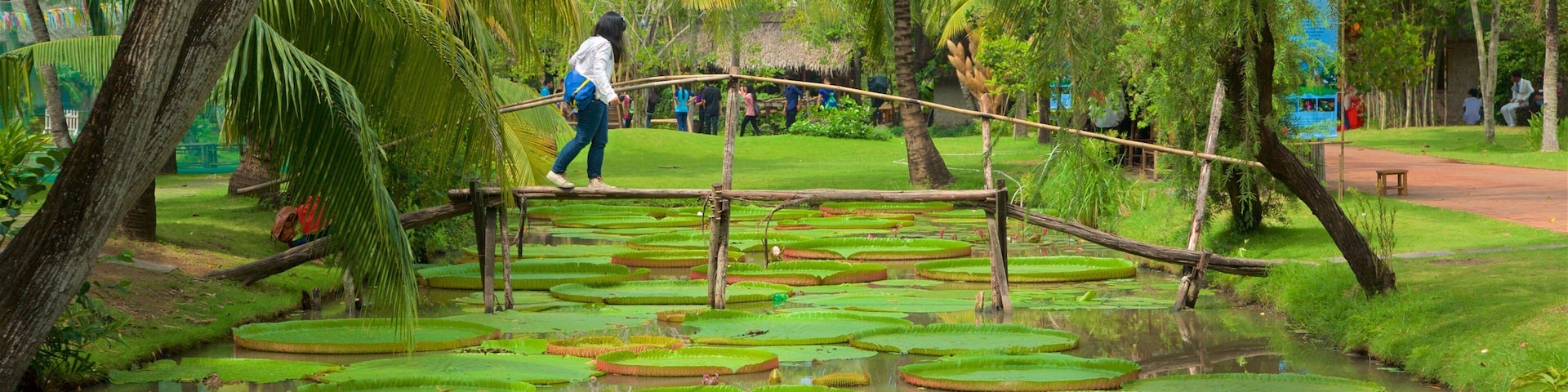 Vietnam featuring a river or creek, a bridge and a pond