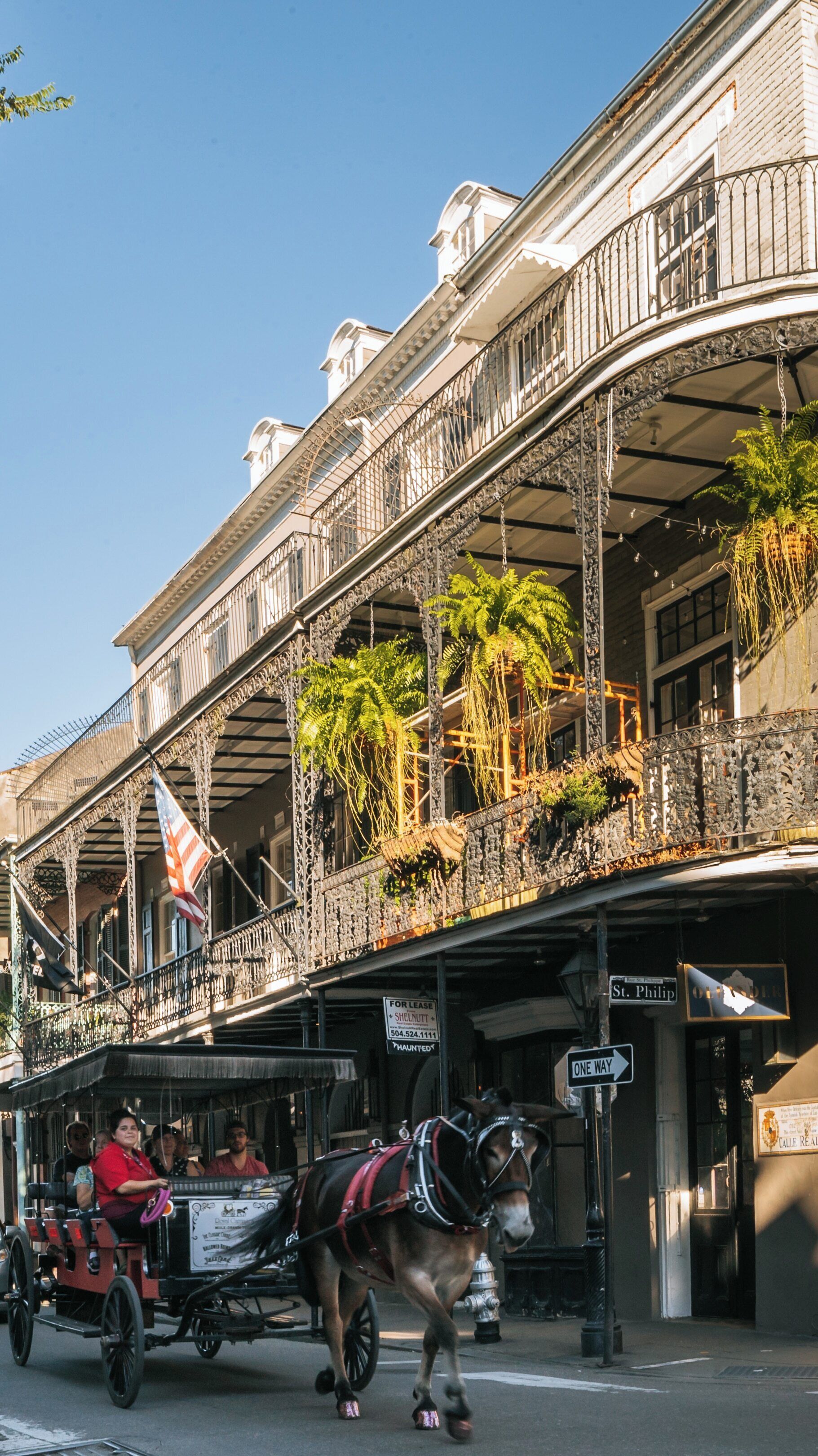 Vibrant morning in Royal Street showcasing historical architecture and a lively carriage ride in the French Quarter of New Orleans