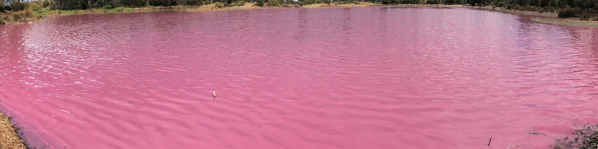 What can you say? This is an untouched photos.
The ingredients needed to turn the lake pink: lots of salt, high temperatures, lots of sunlight and a lack of rainfall.
It's in these conditions that algae growing in the lake's salt crust produce a red pigment, called beta carotene, as part of their photosynthesis process.
The result: a spectacular deep-pink lake.