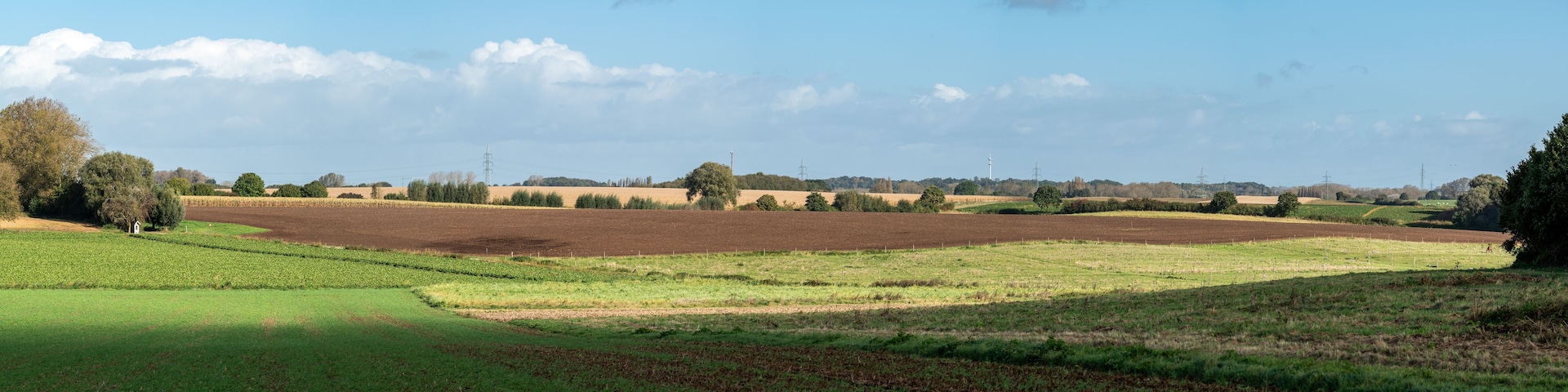 Paisagem rural com campos, árvores e linhas de eletricidade ao longe.