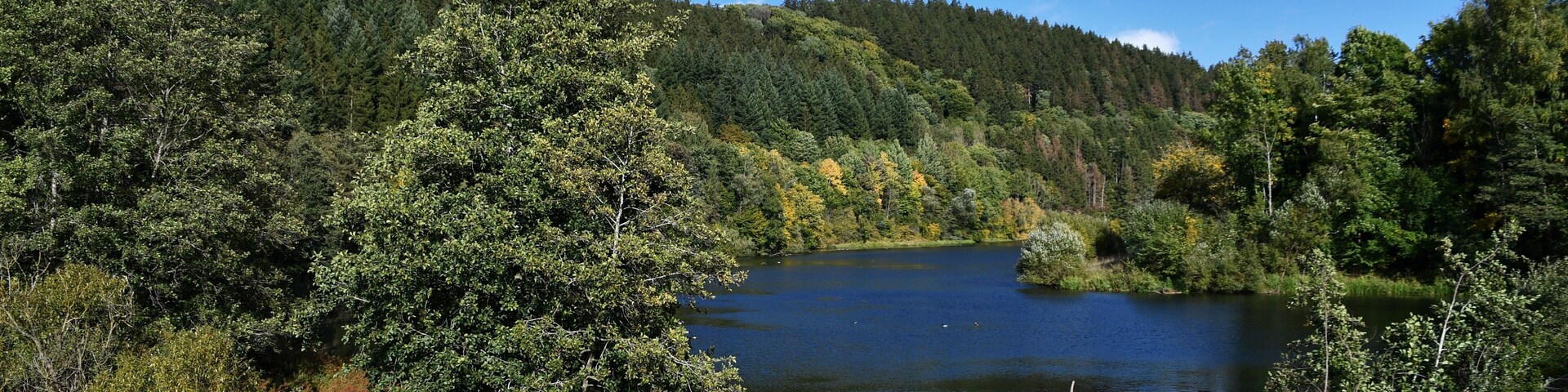 Um lago tranquilo rodeado por floresta densa e colinas.