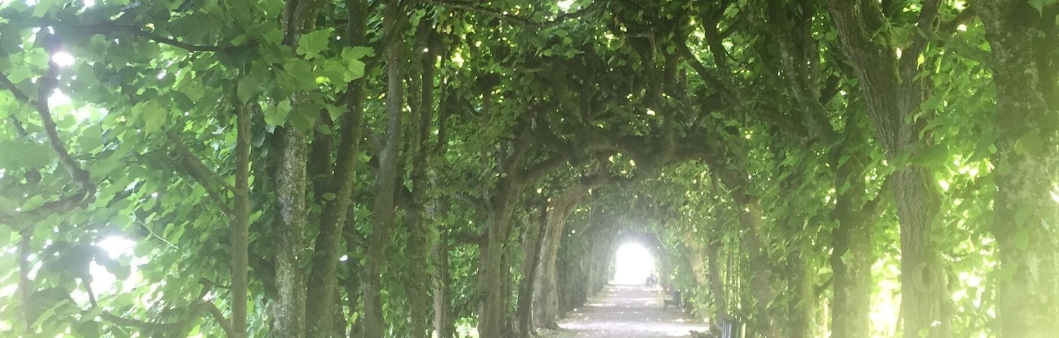 Ok, so I'm back home but I have to share this pic. It was taken in the castle garden of Dachau. As everyone is visiting Dachau just for its ugly history and don't even try to see the beautiful city, I wanted you to see a bit of its beauty. It's more than just the beautiful flowers and trees, from the garden you can overlook Dachau and Munich and, with luck, you might have a magnificent sight of the bavarian alps. đ