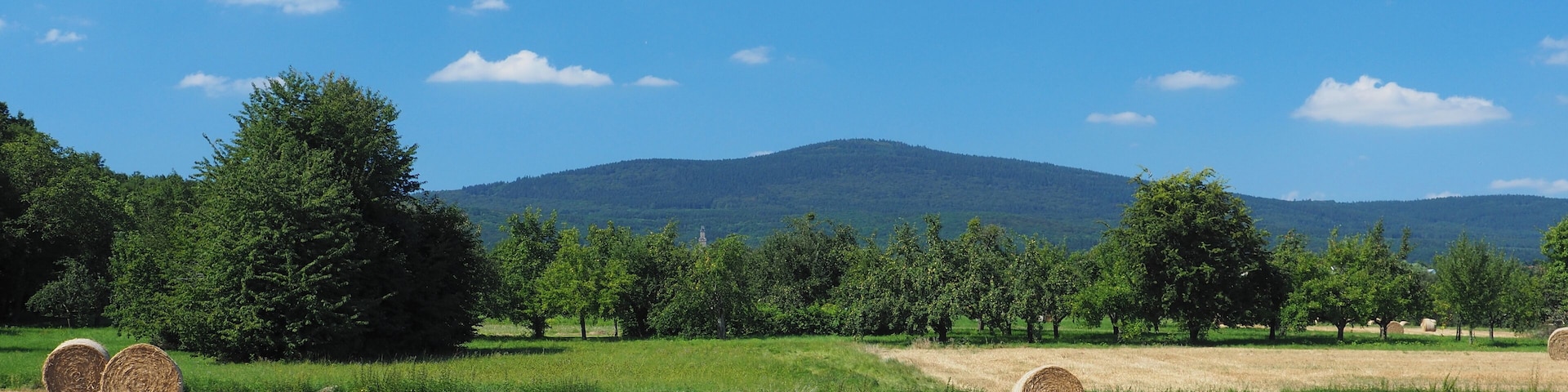 Altkönig (798 m), view from the fields in the north of Schwalbach am Taunus