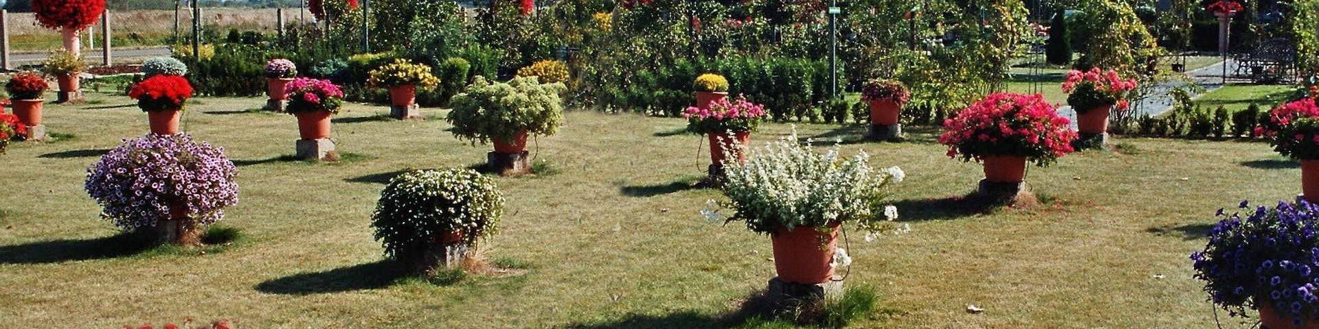 Kölsa (Falkenberg), market garden