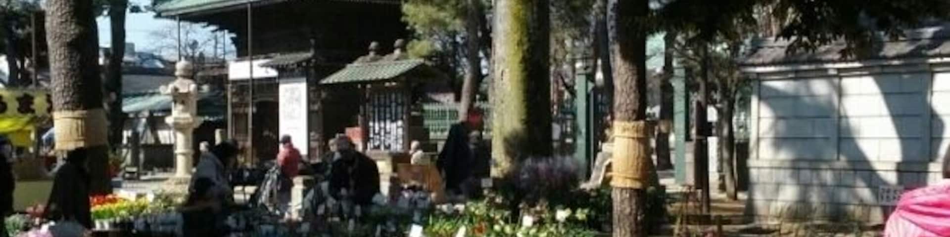 3,13,23 in everymonth some shops are open by street. We call this fair En-nichi(??).