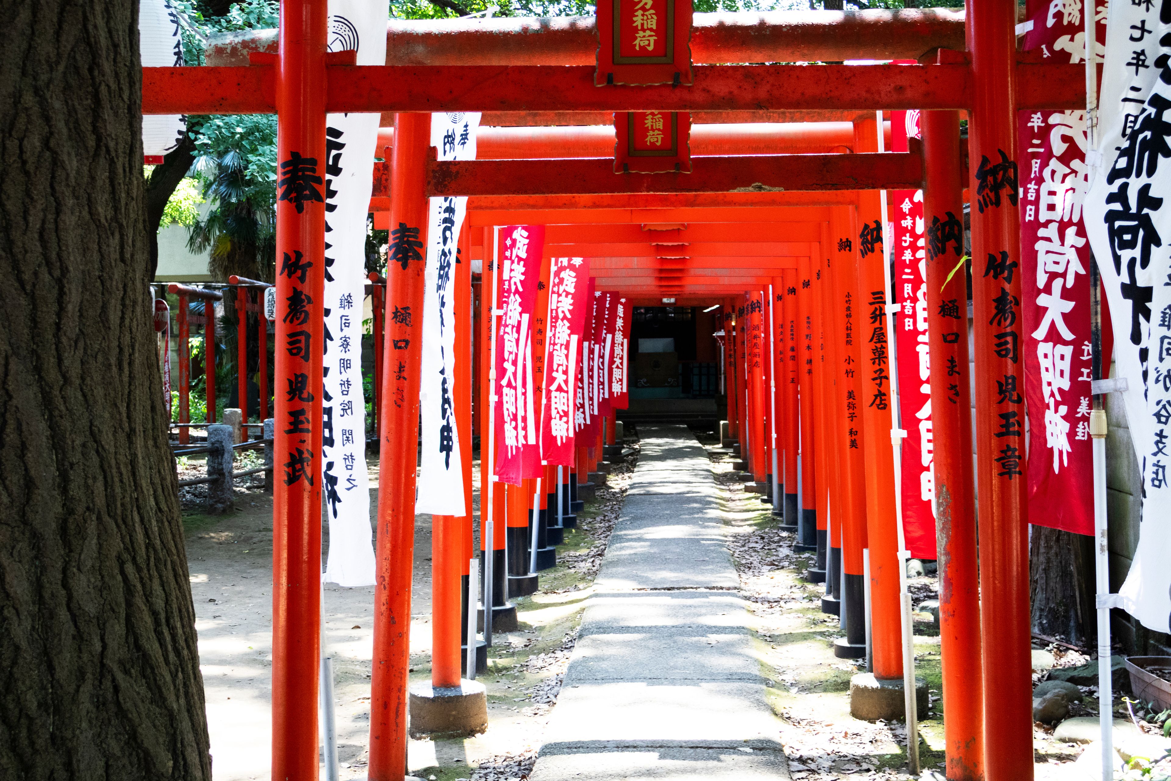 Um caminho flanqueado por portões vermelhos torii que levam a um santuário.