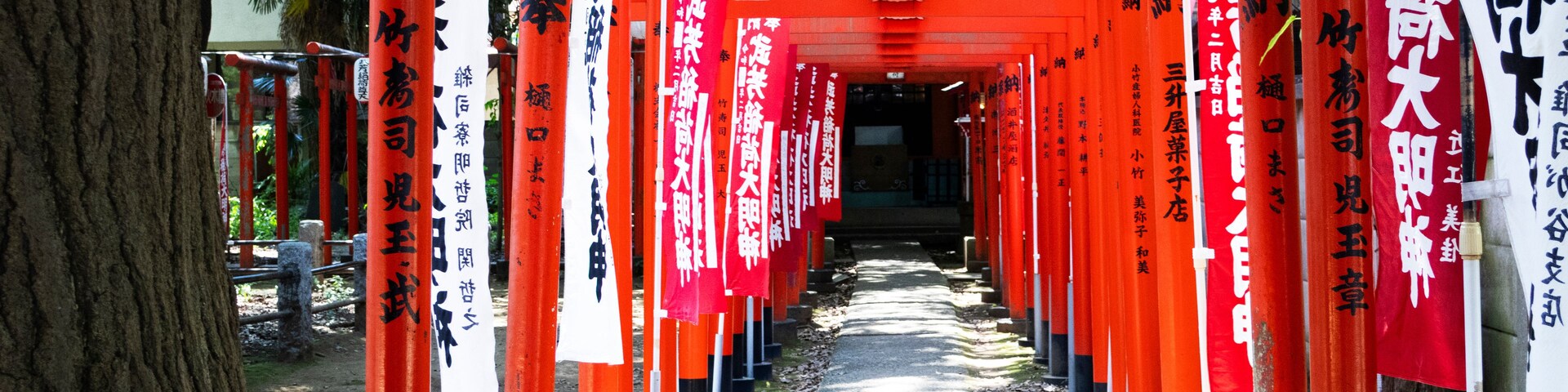 Um caminho flanqueado por portões vermelhos torii que levam a um santuário.
