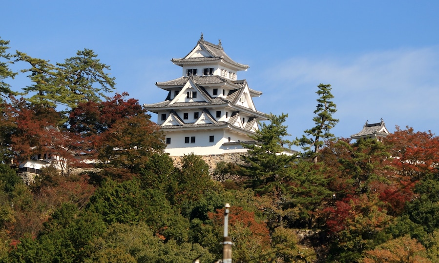 Um castelo japonês tradicional com vários níveis, rodeado por árvores em tons de outono.
