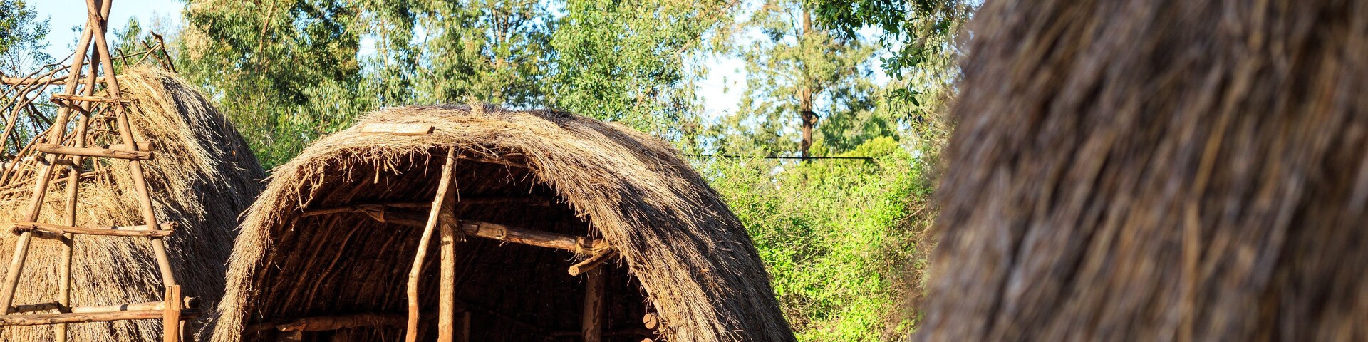 Uma cabana tradicional com telhado de palha e estrutura de madeira, rodeada por árvores e chão de terra.