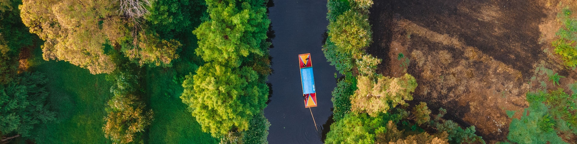 Um rio cercado por uma floresta densa.