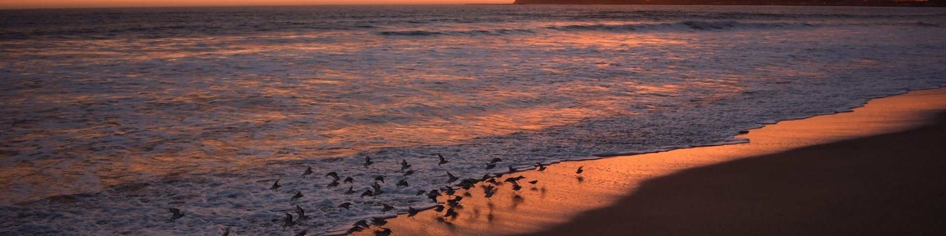 So I tend to see a lot of sunsets as you might find out... my favorite part is seeing how the textures and colors evolve and shift in the sky as the light perspective changes. I loved watching the Sand Pipers dance with the waves as they came in. That's Half Moon Bay in the distance and the world famous surf spot, Mavericks, just to the left of the headland.