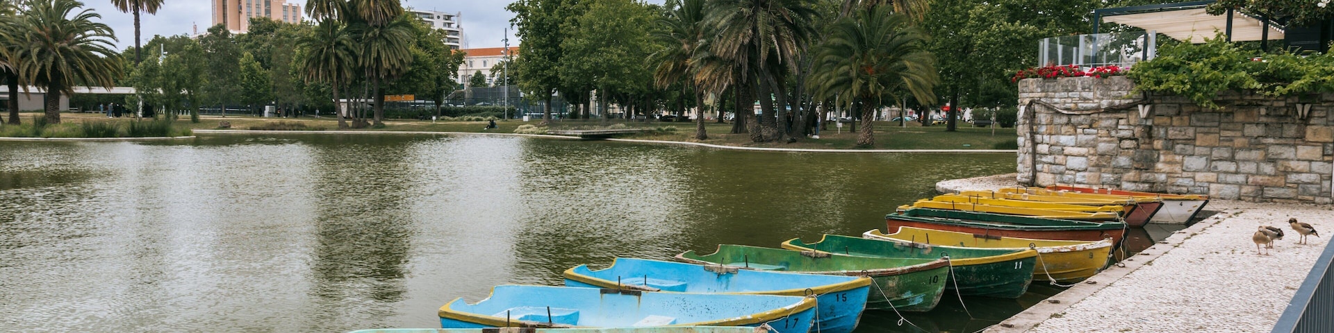 Campo Grande featuring a pond