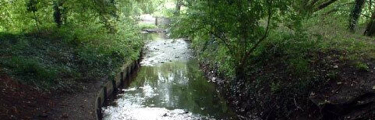 Ravensbourne River BR2. This photograph taken from a little way north of the end of Ravensbourne Avenue, looking south, where the river and its tree-lined banks pass between playing fields.