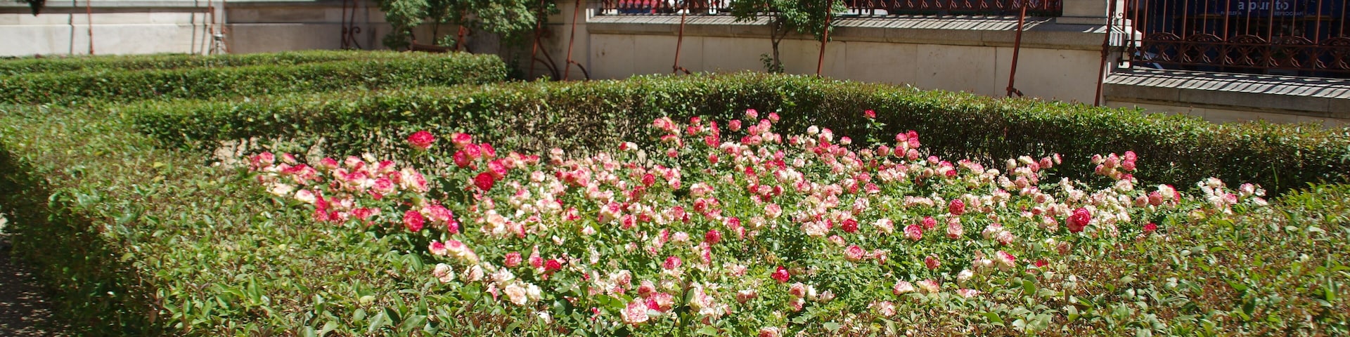 VIEW : ®'s / DiDi / RM / Ð 6K / ┼ : MADRID PANTEON HOMBRES ILUSTRES