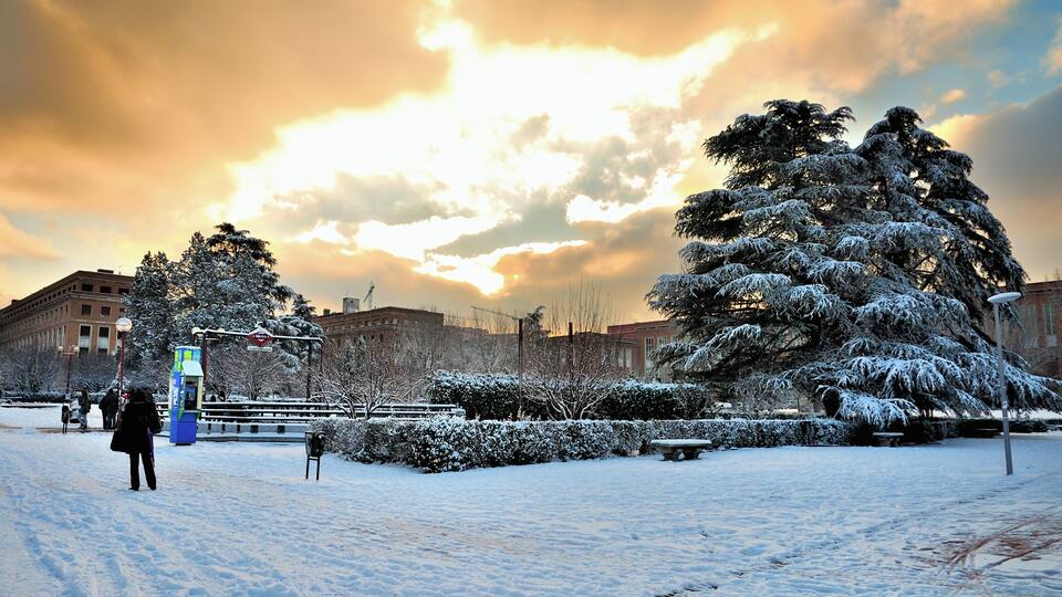 Cámara: Nikon D60 Exposición: 0,008 sec (1/125) Aperture: f/8.0 Lente: 16 mm Lente: 16.3 mm Velocidad ISO: 100 Tendencia de exposición: 0 EV Flash: No Flash