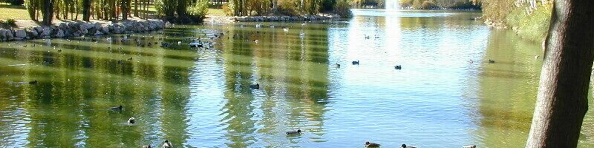 Natural Park "El Soto" - View of the lake from the East header.