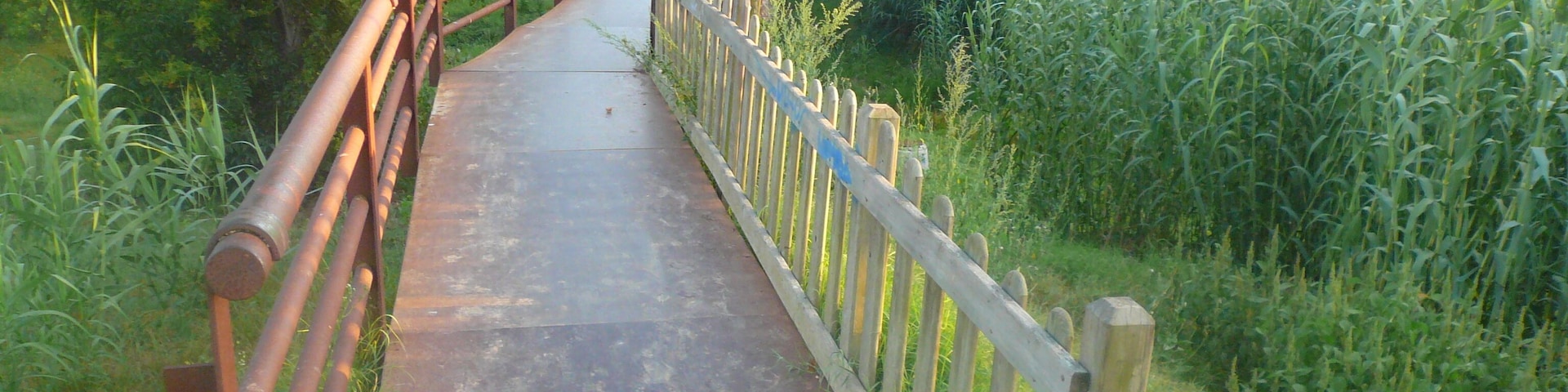 Uma passagem de concreto com grades de metal, cercada por vegetação e plantações de milho.