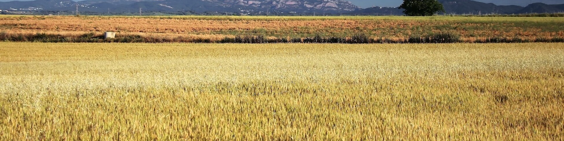 Mollet del Vallès (Barcelona, Spain)