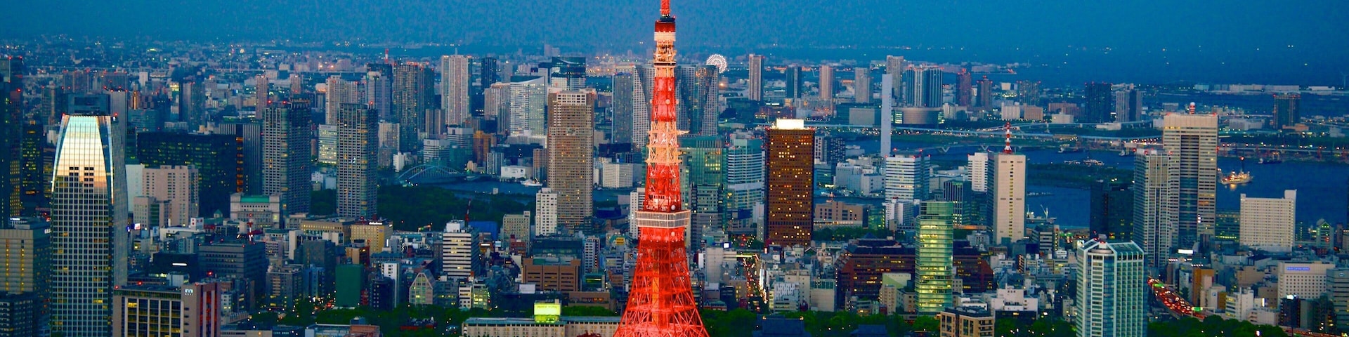 Tóquio que inclui linha do horizonte, um edifício e uma cidade