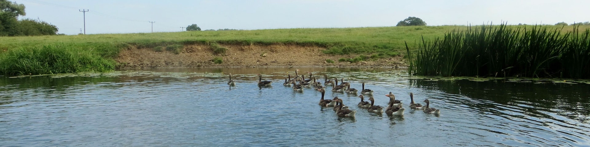 The River Nene at Oundle - July 2014