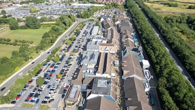 Vista aérea de um estacionamento com várias fileiras de carros, um edifício com telhado marcante e uma estrada ao lado.